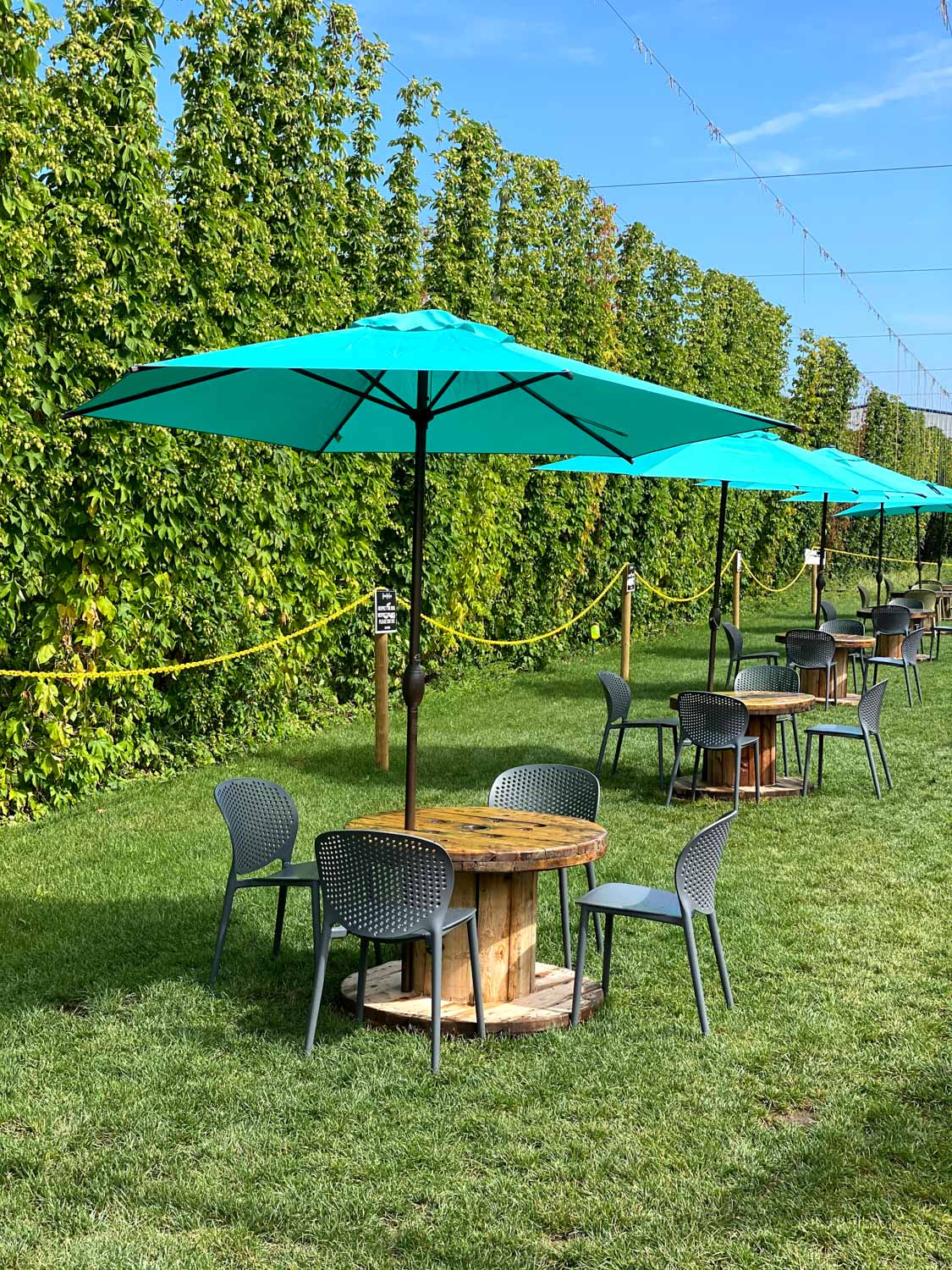 Jenna Steward TopWire Hop Project / Crosby Hops – Craft Beer Podcast ...