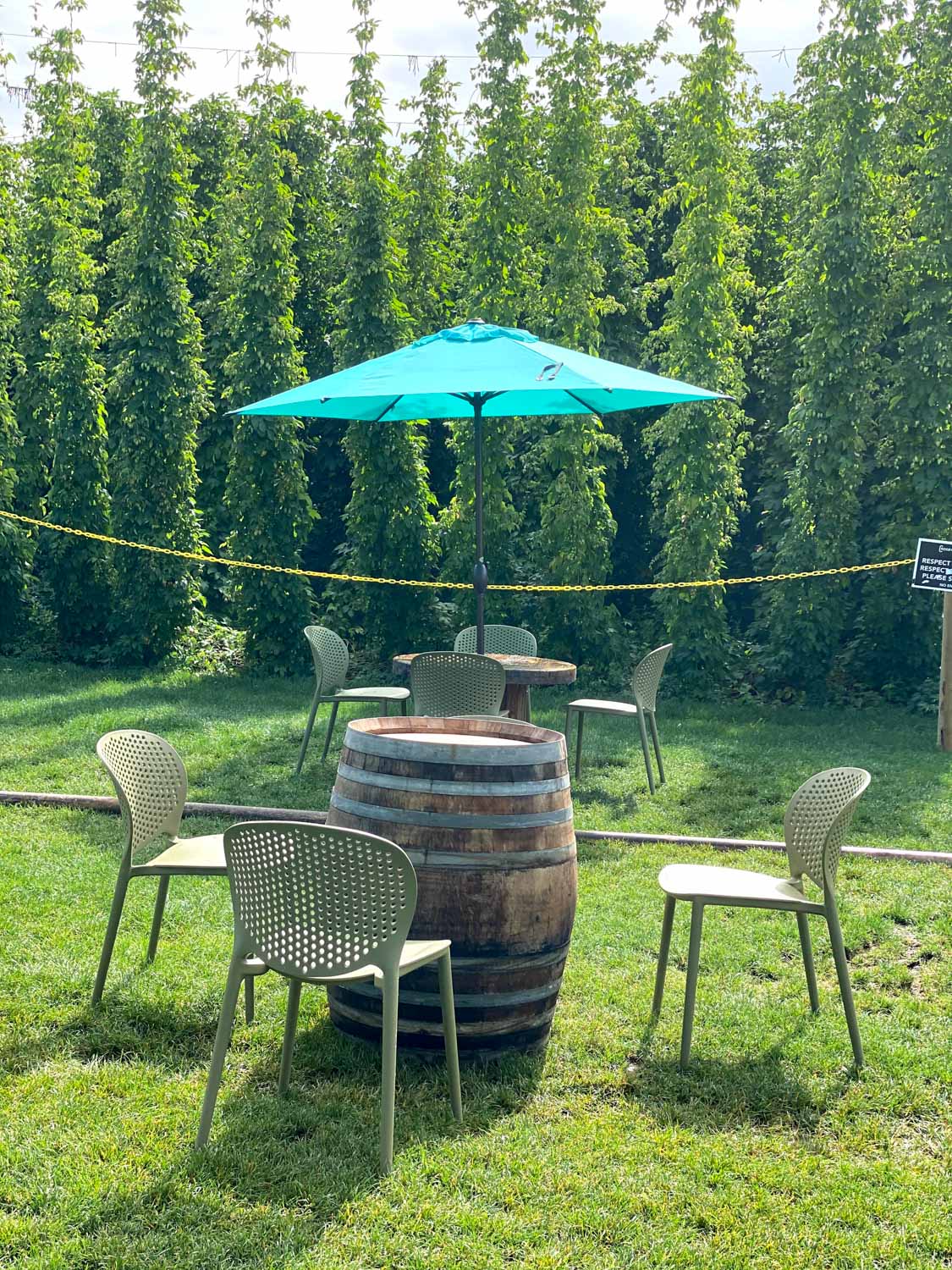 Jenna Steward TopWire Hop Project / Crosby Hops – Craft Beer Podcast ...